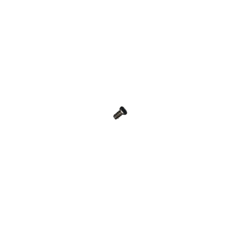 Genuine Rolex® crown wheel core screw, fits Rolex® 1300, Rolex® 1310 ...