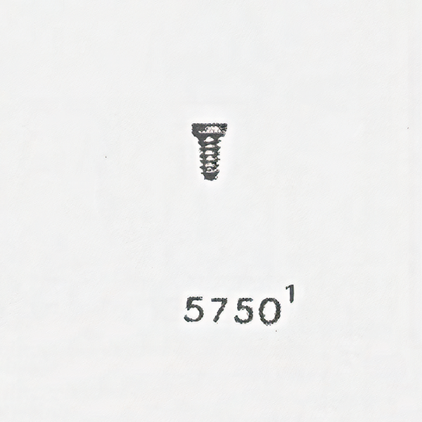 Jaeger LeCoultre® calibre # 11LCN dial foot screw – Perrin Supply Ltd