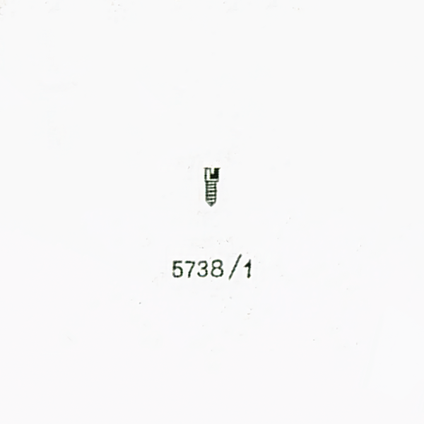 Jaeger LeCoultre® calibre # 881S hairspring stud screw – Perrin Supply Ltd