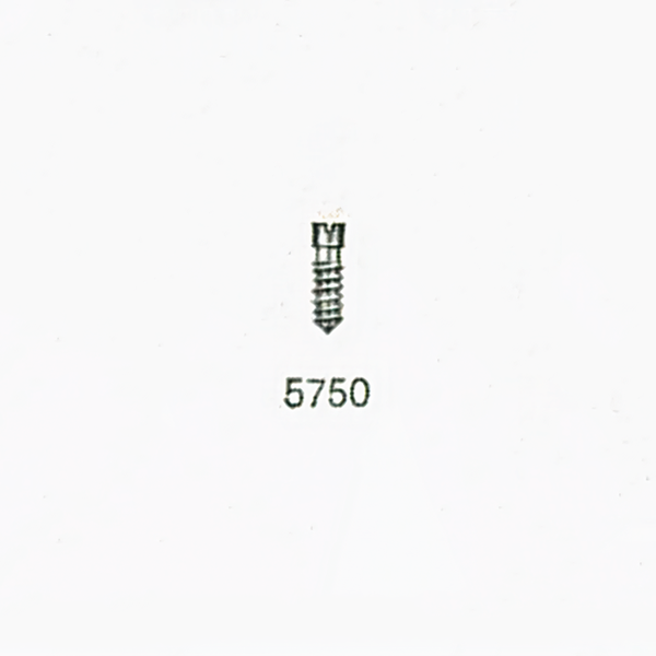 Jaeger LeCoultre® calibre # 883S dial screw – Perrin Supply Ltd